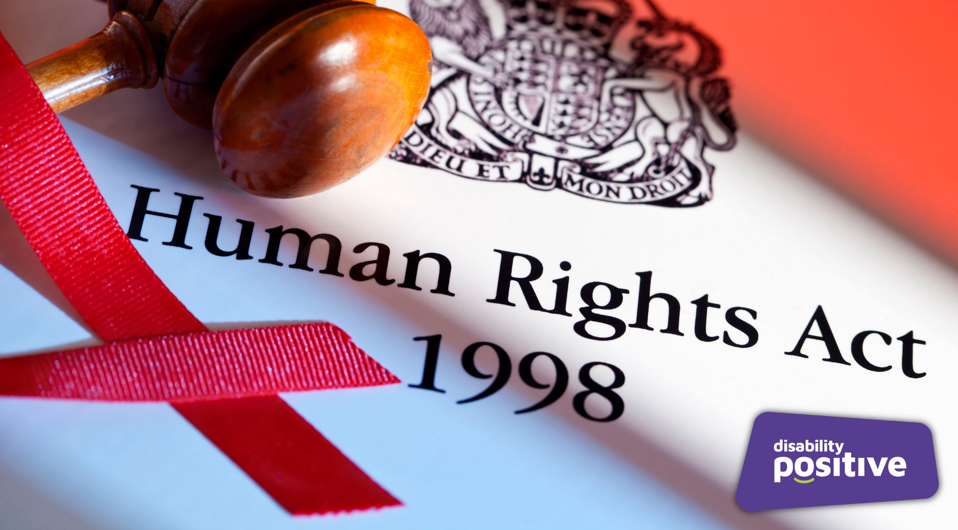 Today is Human Rights Day - Disability Positive